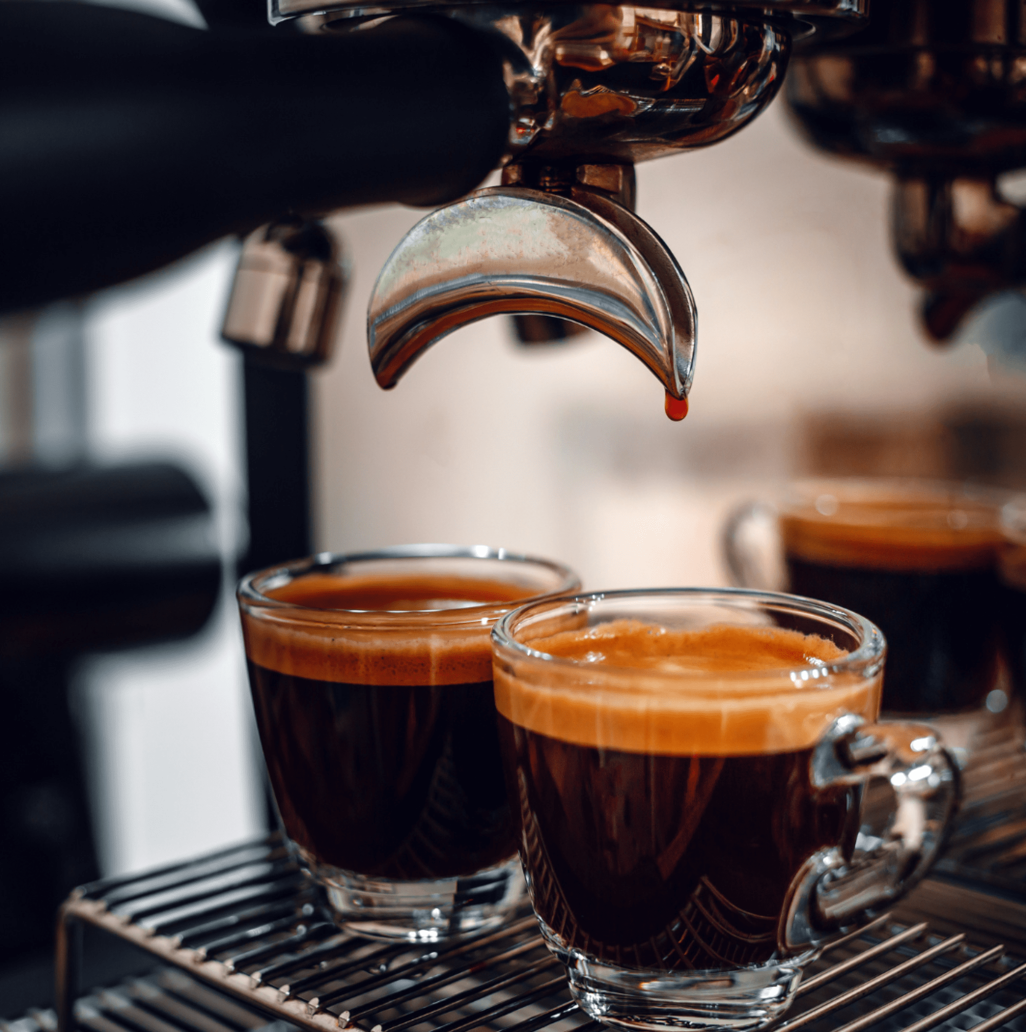 How to Start a Coffee Truck in Florida - Coffee Shop Startups