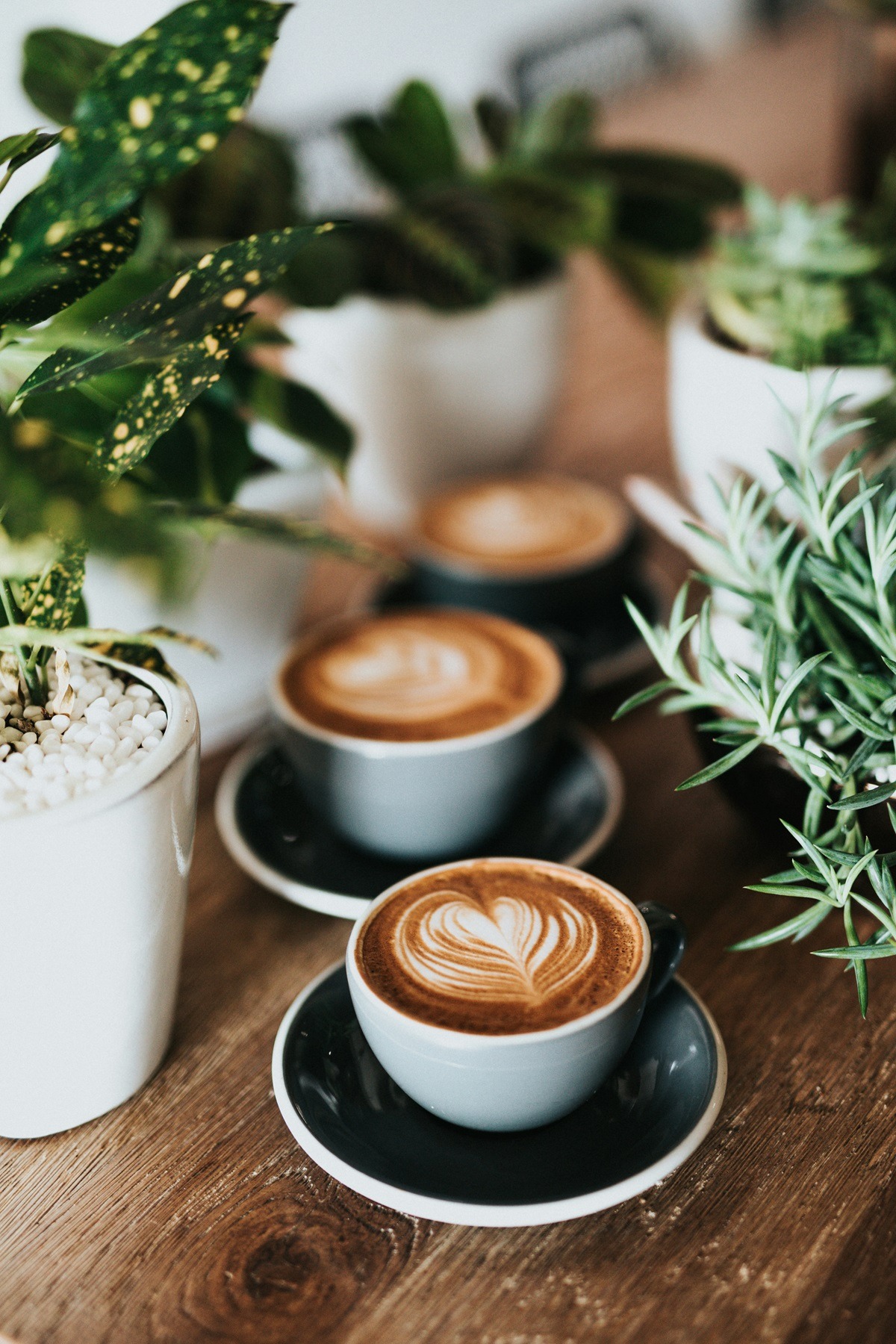 Best Coffee Shop Themes and Unique Concepts